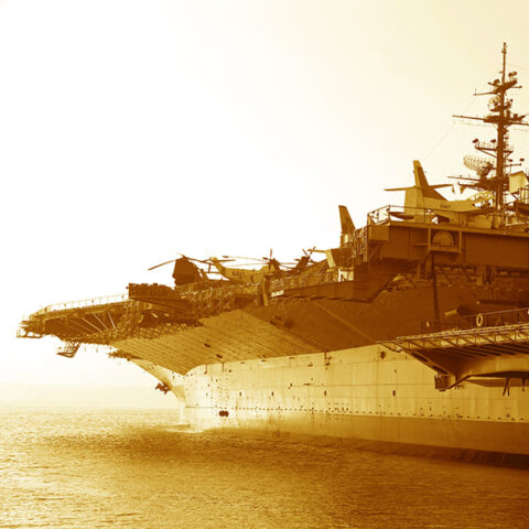 Services - GDX Development